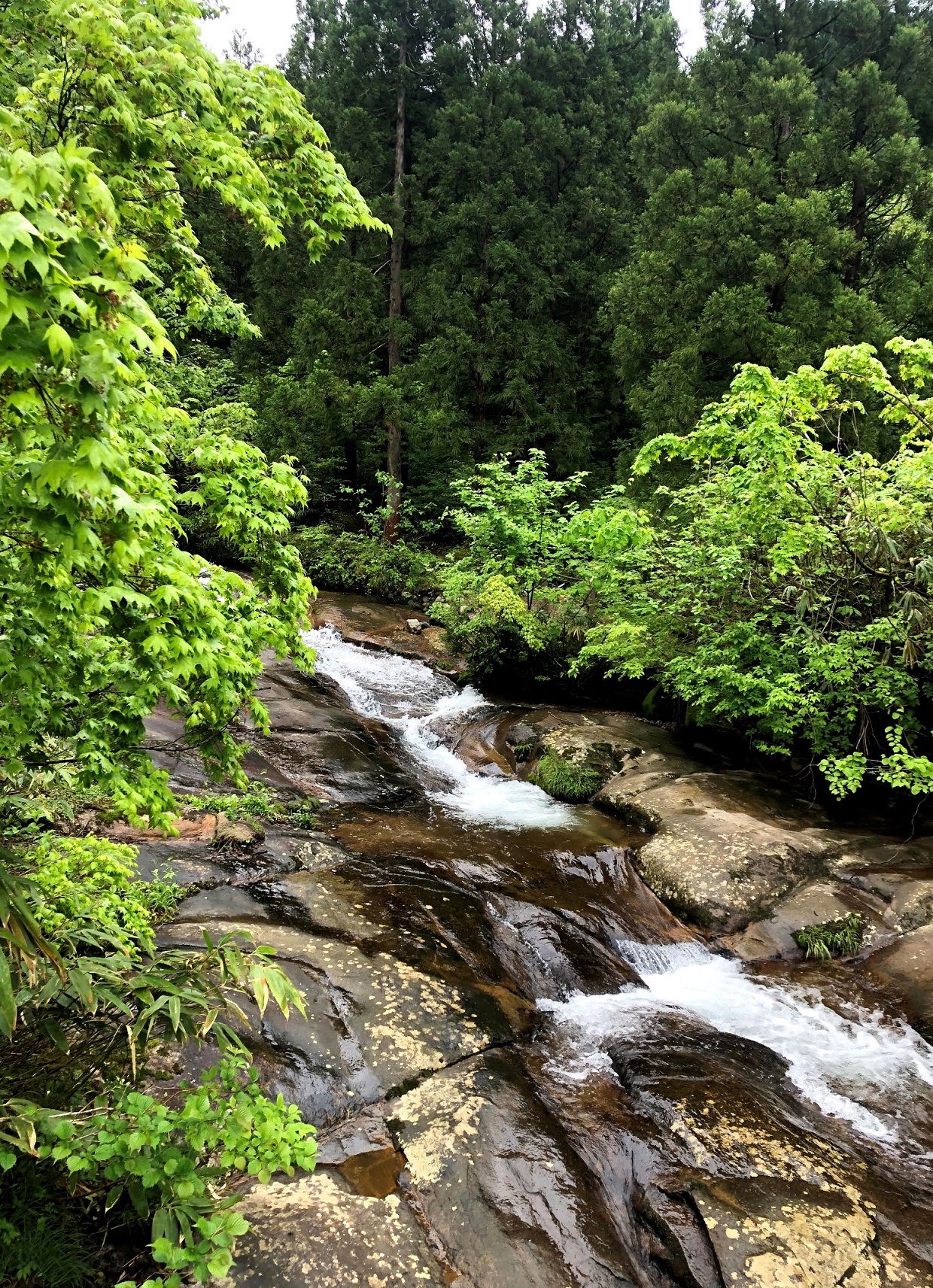 Enjoy water!! Trekking and Tempura cooking experience in Mt. Tateyama | Toyama Web Desk